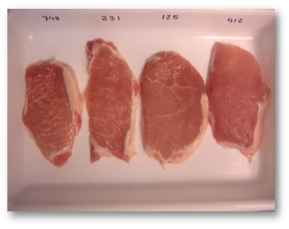 La nutrición del cerdo y la grasa intramuscular; la aceptabilidad del ...