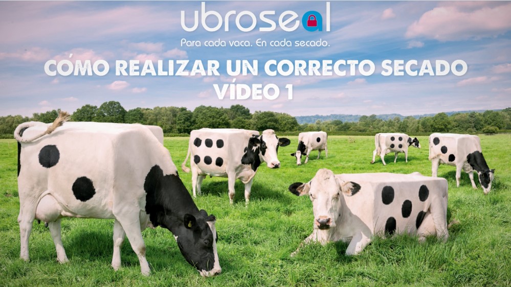 VÍDEO. Cómo realizar un correcto secado - Foro Agro-Ganadero. Axón ...