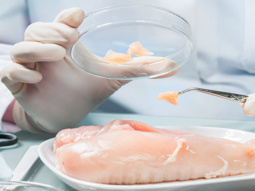 Principales parámetros en la evaluación de la calidad en la carne de ...