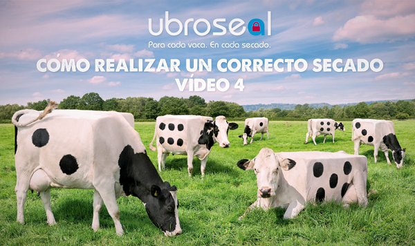 VÍDEO. Cómo realizar un correcto secado (4). Aplicación del antibiótico ...