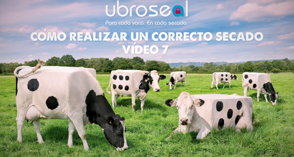VÍDEO. Cómo realizar un correcto secado (7). Eliminación del sellador ...