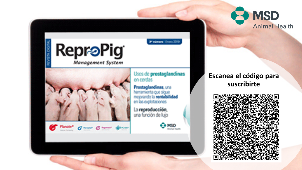 El porcino nacional recibe con gran interés la revista digital de ...