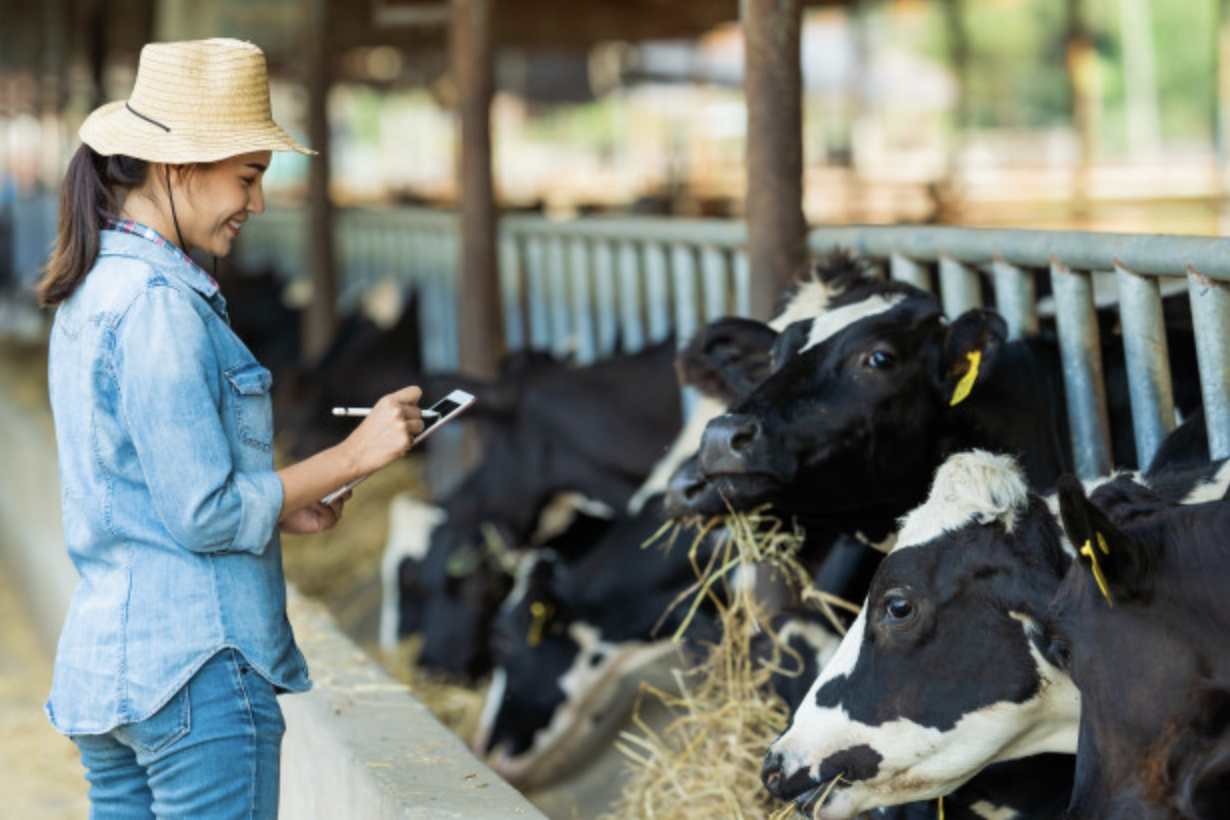 Nace RISA, la Red de Investigación de Sanidad Animal - Foro Agro ...