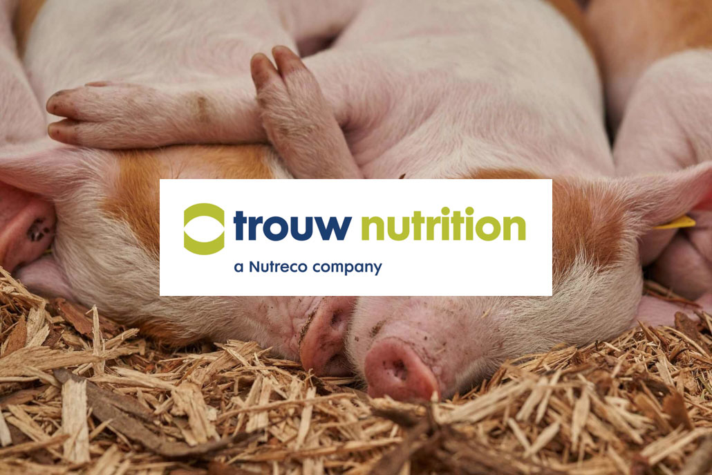 Trouw Nutrition España lanza FYSAL SOLUTE, un producto multifuncional para controlar E.Coli y ...